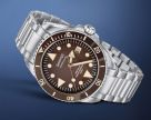 Eberhard & Co. 300 Mcmlix 43 mm Watch in Brown Dial